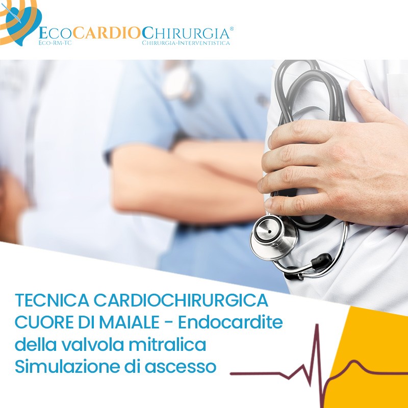 TECNICA CARDIOCHIRURGICA CUORE DI MAIALE - Endocardite della valvola ...